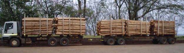 Timber haulier driver training