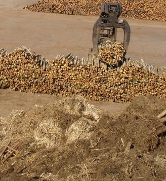 Industry Information - 75 million tons of woody biomass!